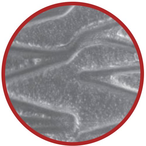 Easy Flype - emil GmbH